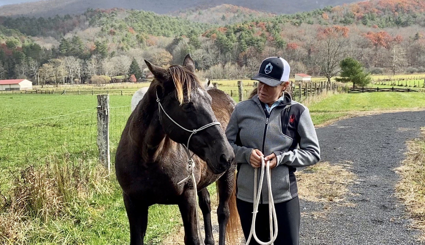 Hope Horsemanship – Relationship Based Horsemanship